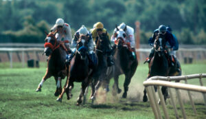 2 FOR 1: The Aim and Fire Premium Horse Racing System / The X Factor ...