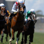 Horse Racing Systems Archives - Castle Sporting